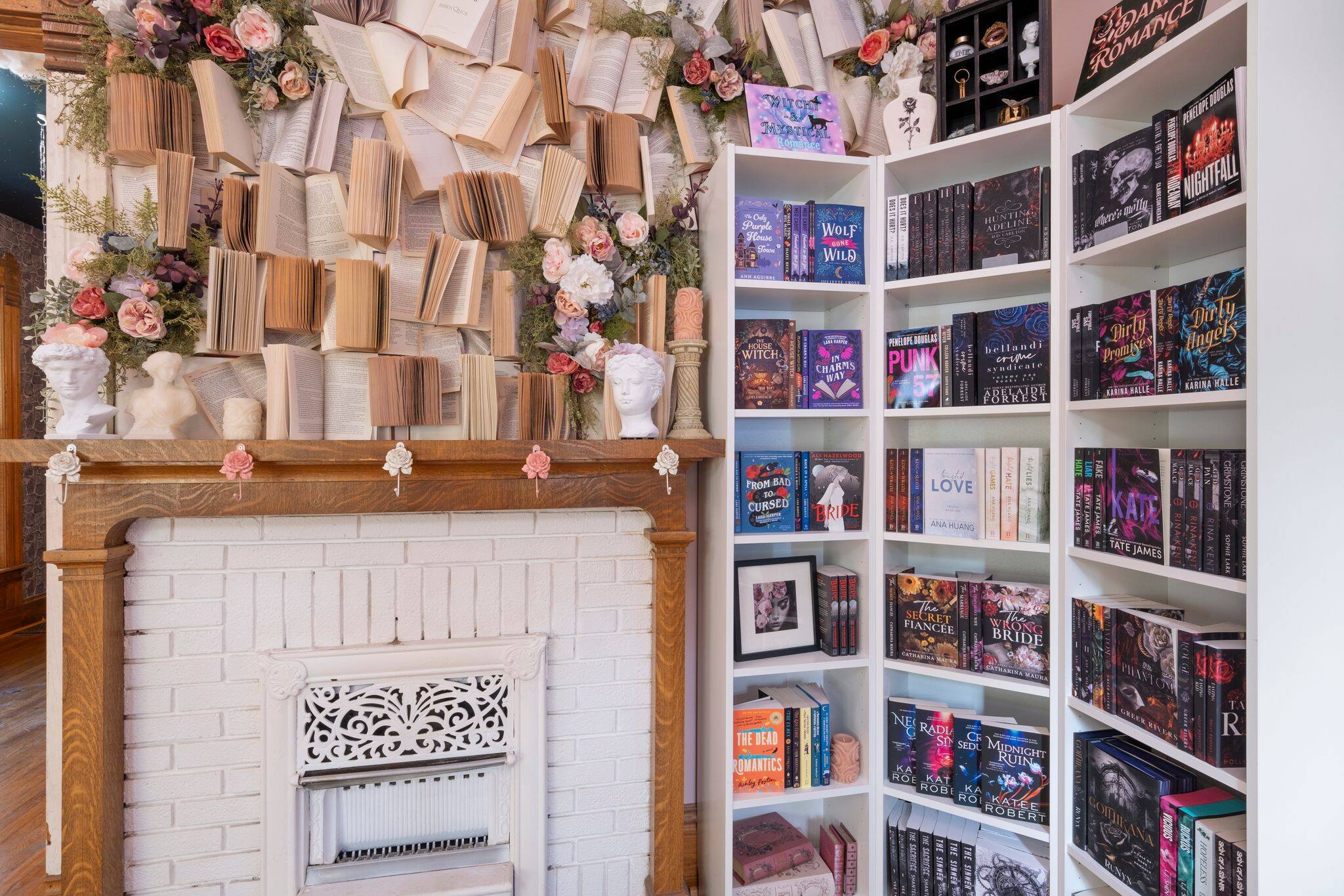 Black Cat Books & Oddities - Bookstore in Medina, Ohio | Black Cat Books & Oddities - Medina, Ohio